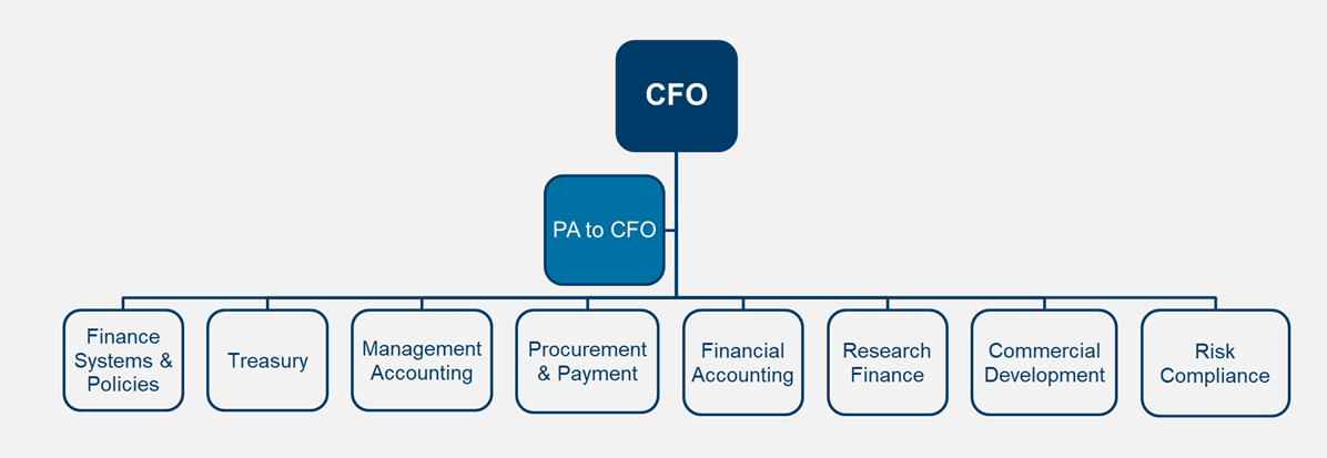 Case Study: The CFO's Role in Ensuring Sustainability and Excellence at ...