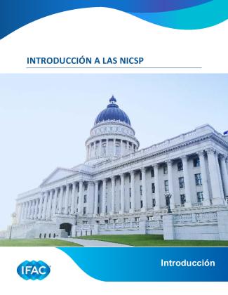 Implementando las NICSP: una guía para capacitadores (Entrenar al ...