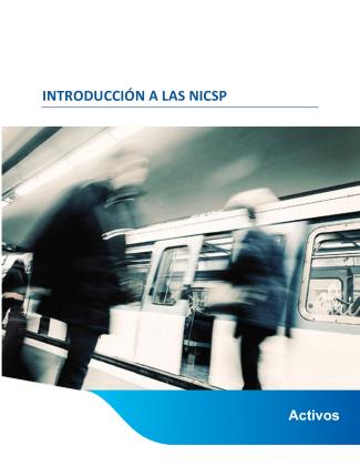 Implementando las NICSP: una guía para capacitadores (Entrenar al ...