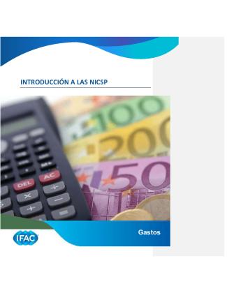 Implementando las NICSP: una guía para capacitadores (Entrenar al ...