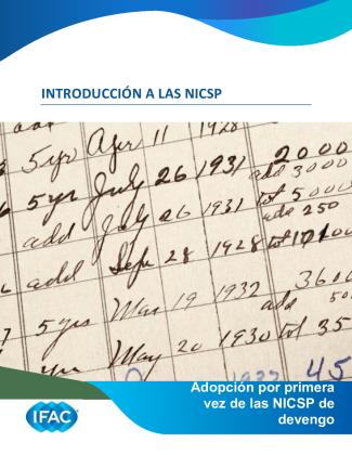 Implementando las NICSP: una guía para capacitadores (Entrenar al ...