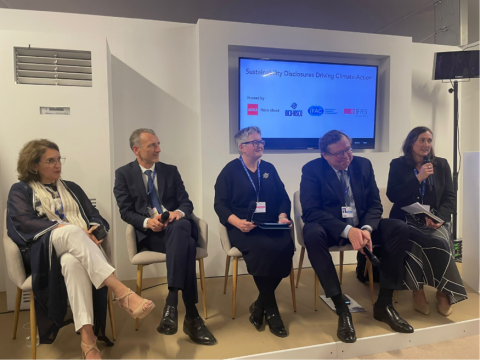 IFAC at the United Nations in 2023: A Global Voice for the Profession ...